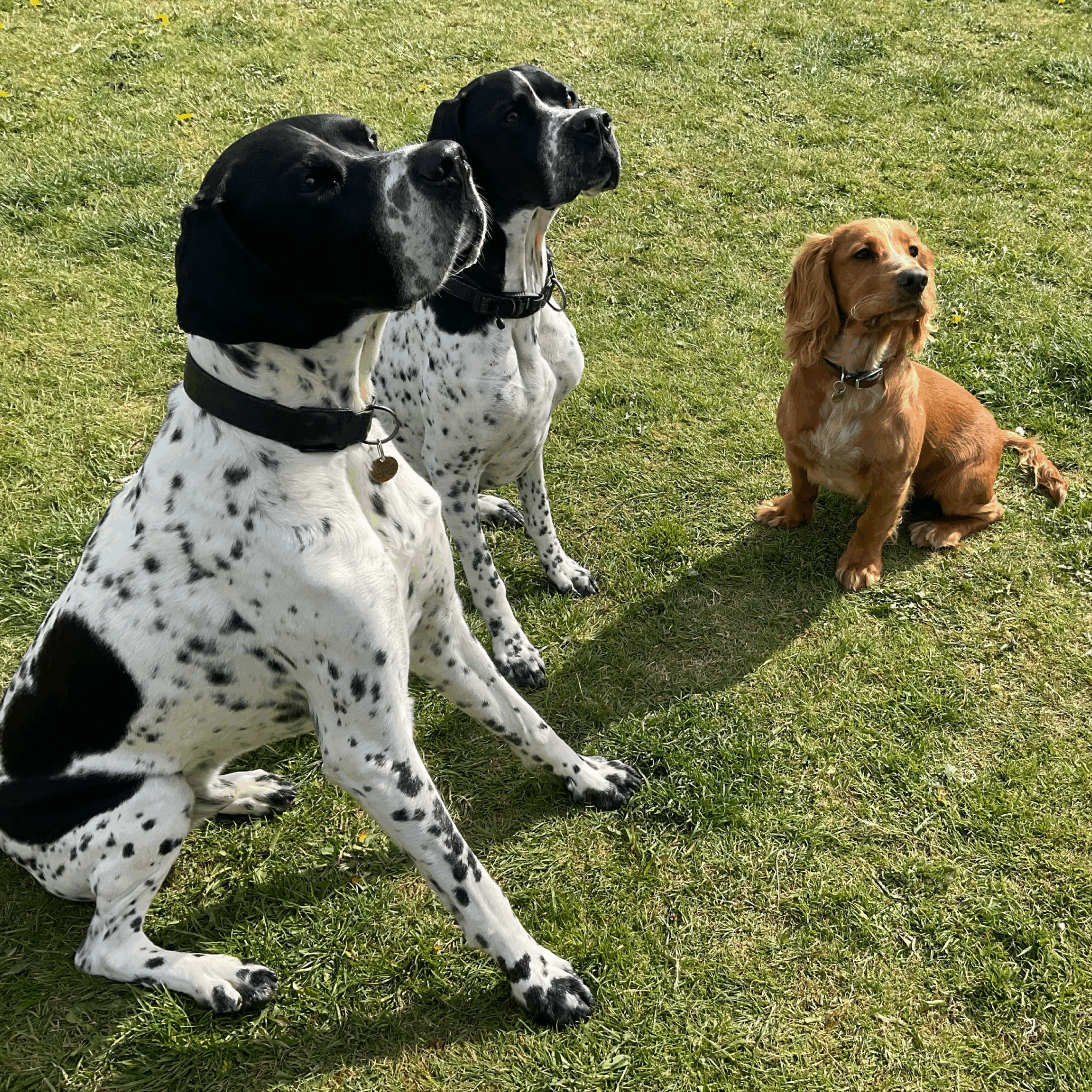 About us - Life Ledger