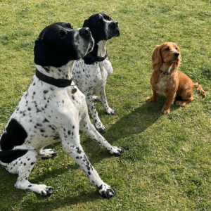 About us - Life Ledger